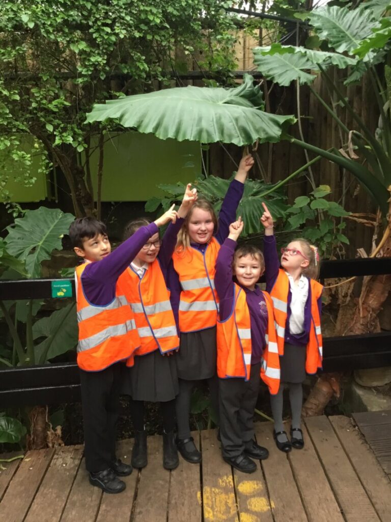 Tadcaster Primary Academy » Curriculum at TPA